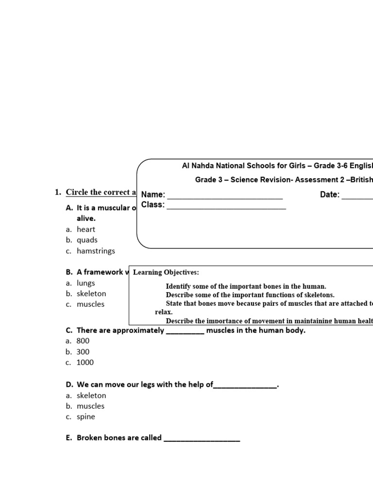 Science Revision Worksheet-Assessment 2 - Term 2 | PDF | Skeleton | Muscle