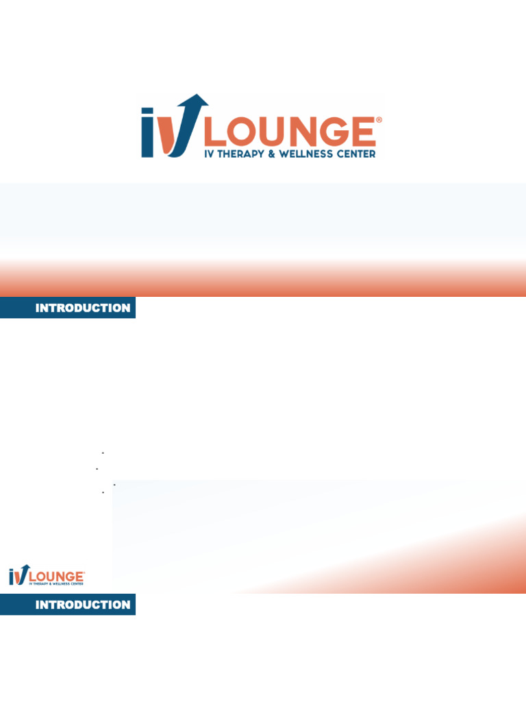IV Lounge Marketing Plan 03-26-2024 | PDF | Search Engine Optimization ...