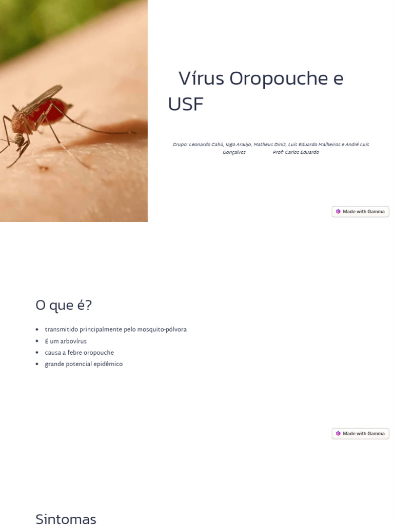 Vírus Oropouche: Sintomas e Prevenção | PDF