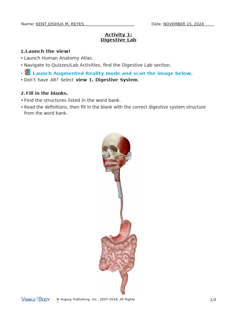 Digestive System Lab Activities Guide | PDF | Human Digestive System ...