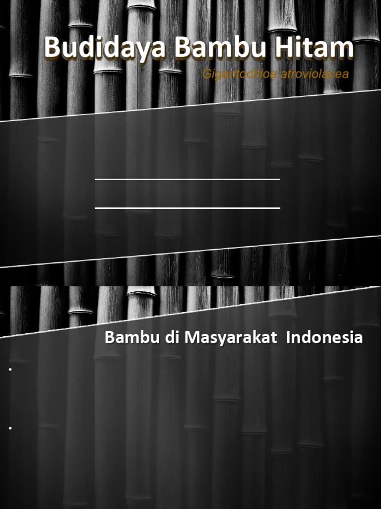Budidaya Bambu Hitam-Cibuntu - 2024 | PDF