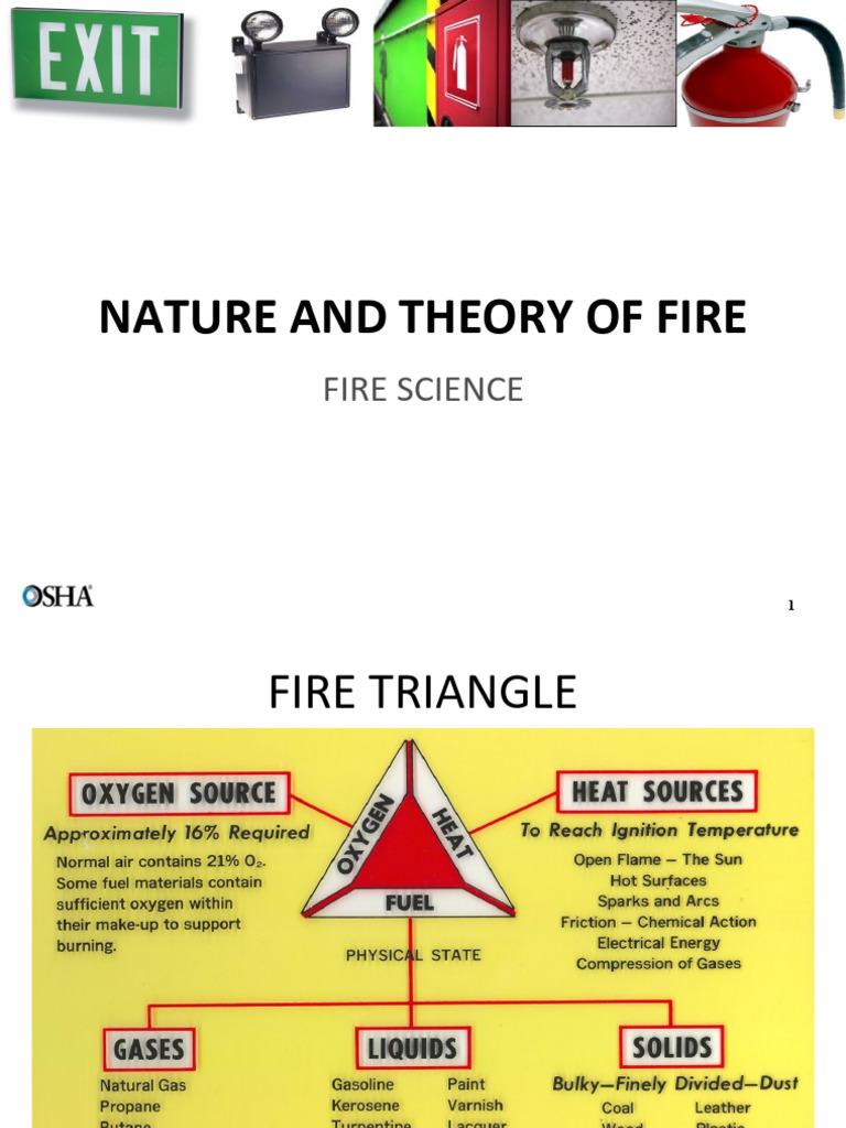Fire Science: Understanding Combustion Dynamics | PDF | Fires | Combustion