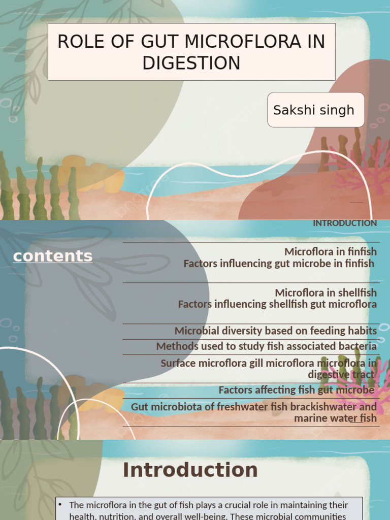 Gut Microflora's Role in Fish Digestion | PDF | Microbiota | Digestion