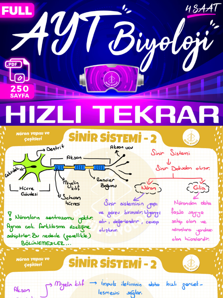 Betül Biyoloji Ayt Hızlı Full Tekrar | PDF