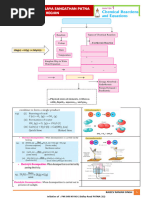 Chemical Composition and Structure of Meat | PDF | Connective Tissue ...