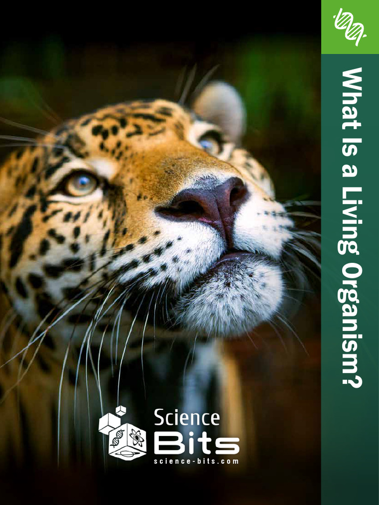 L5e5901 en | PDF | Cell (Biology) | Foods