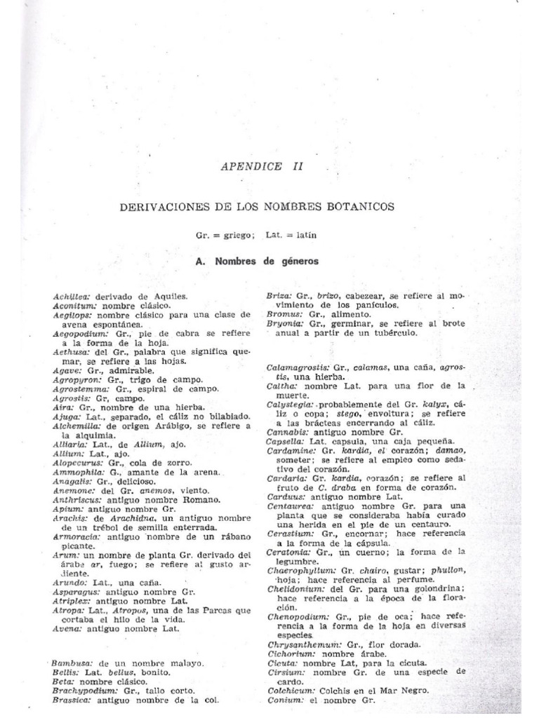 Derivaciones nombres sps | PDF