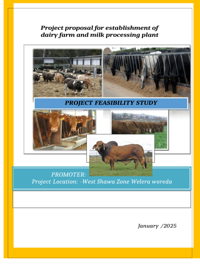 Beef Cattle Fattening Project Proposal | PDF | Livestock | Agriculture