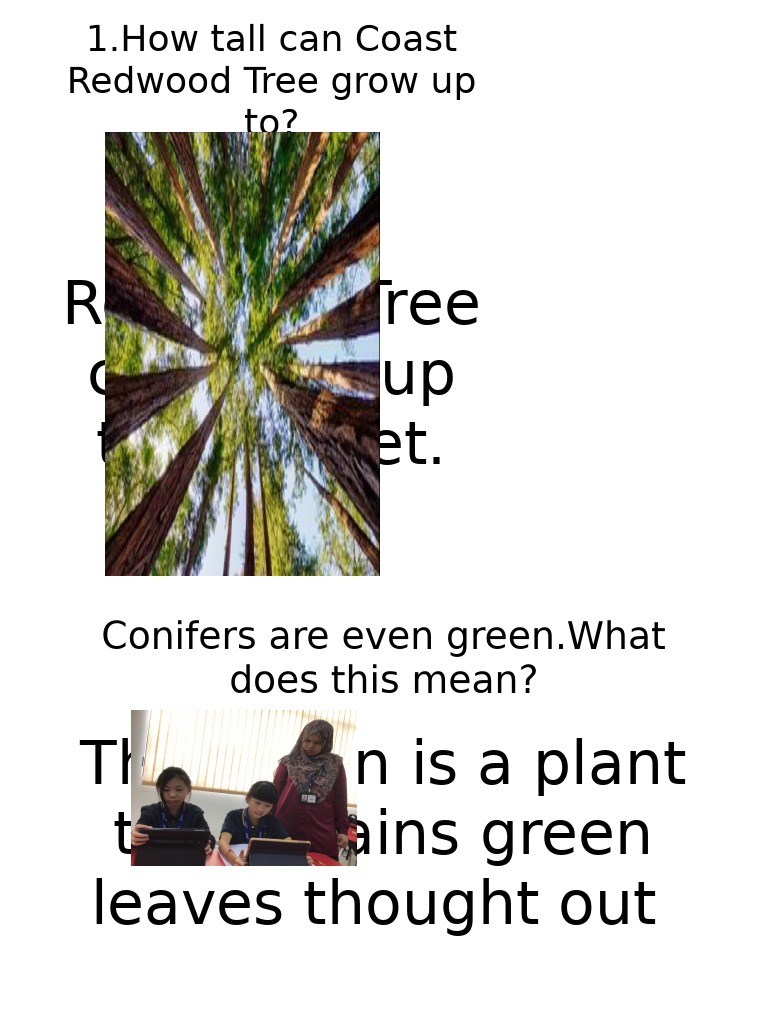 Presentation 2 2 | PDF