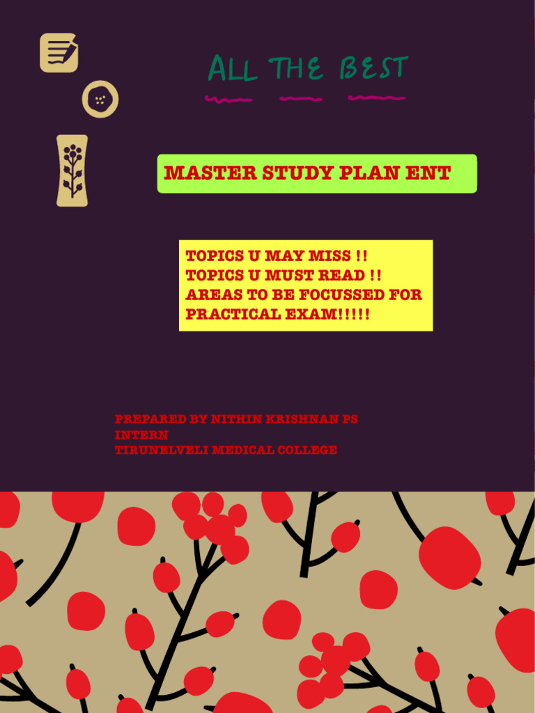 Master Study Plan Ent | PDF
