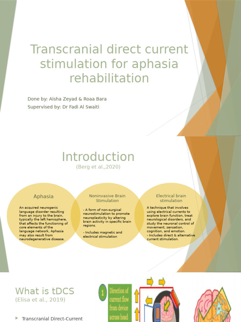 TDCS for Aphasia Rehabilitation | PDF | Aphasia | Physiology