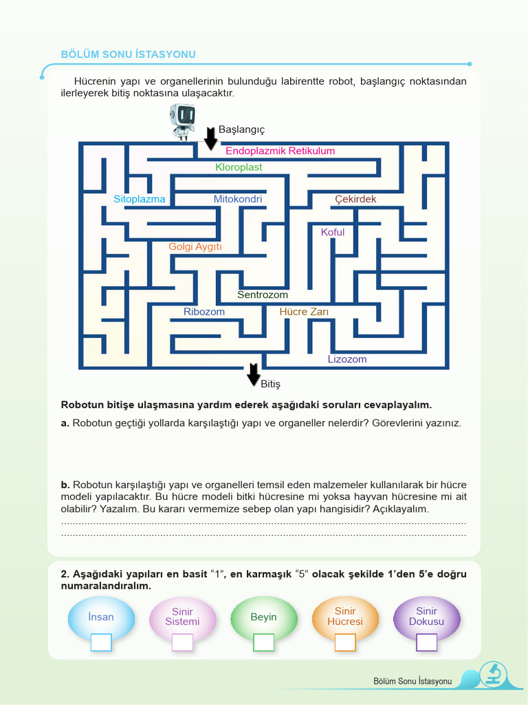 5 hafta ici odevi (1)ggg | PDF