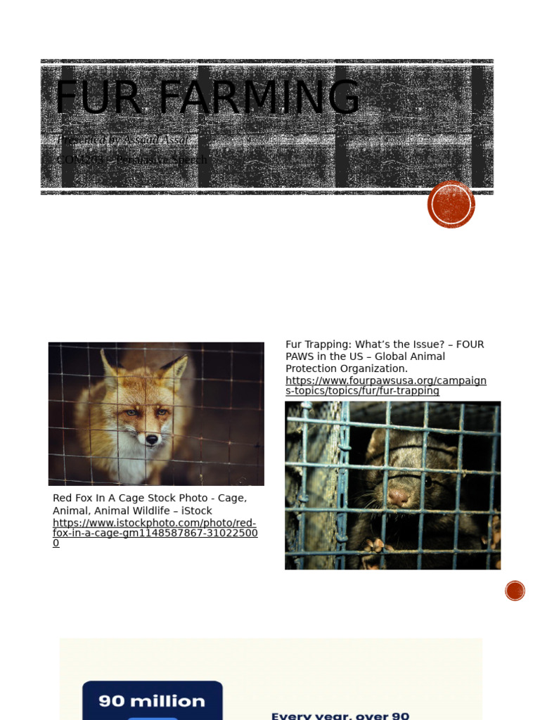 Understanding Fur Farming Issues | PDF