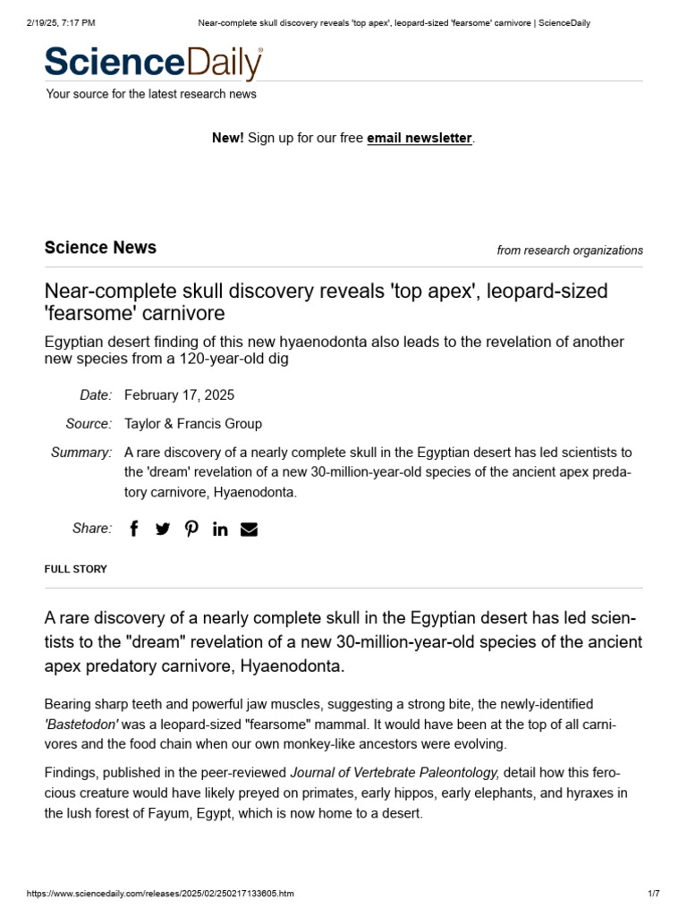 Near-complete skull discovery reveals 'top apex', leopard-sized ...