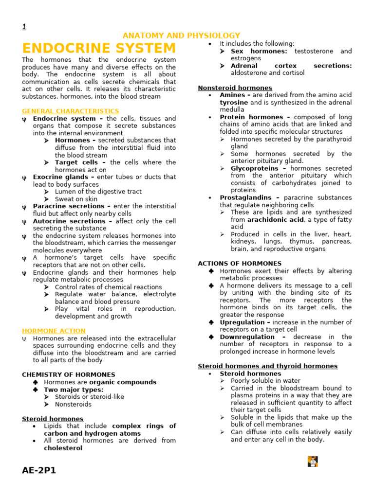 ANAPHY CH11 Endocrine System | PDF | Adrenal Gland | Endocrine System
