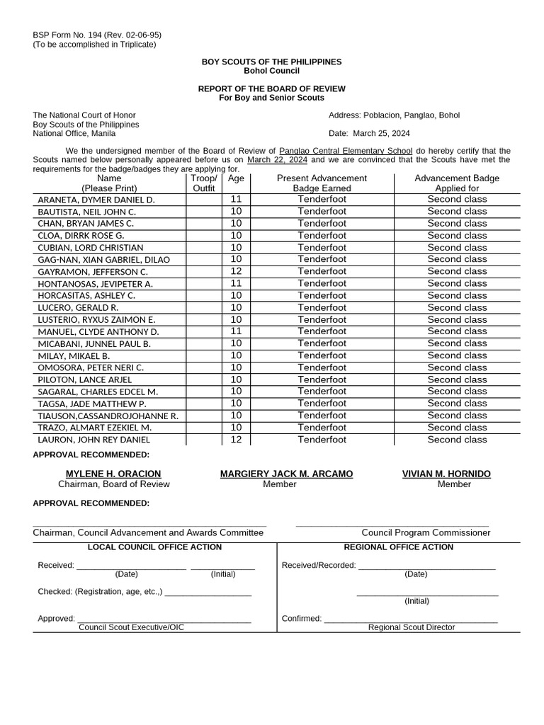 Bohol Council Scouts Review Report | PDF | Patriotic And National ...