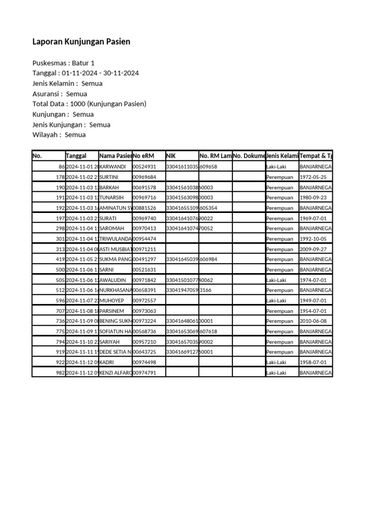 Laporan Kunjungan Pasien | PDF