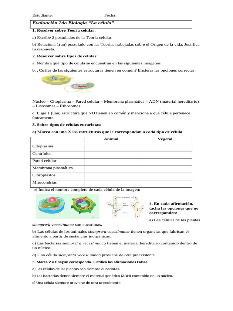 Evaluación La Célula | PDF