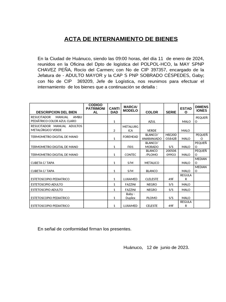 Acta de Internamiento de Bienes Médicos | PDF