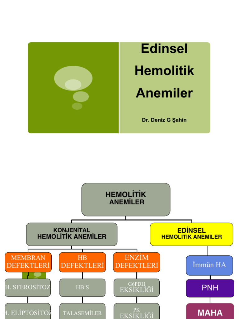 Akkiz Hem Anemi1 | PDF