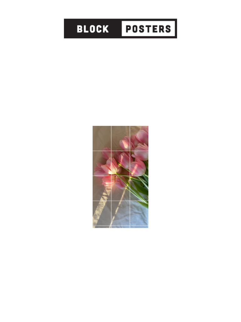 Block Poster Setup Guide | PDF