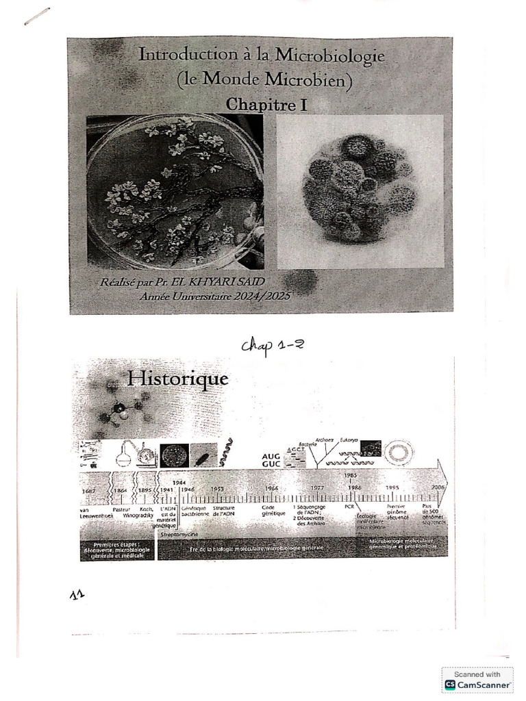 Capitre 1&2 Microbiologie 2023-2024 | PDF
