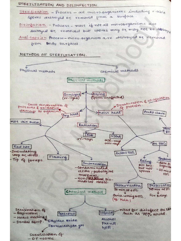 Sterilization TTT | PDF