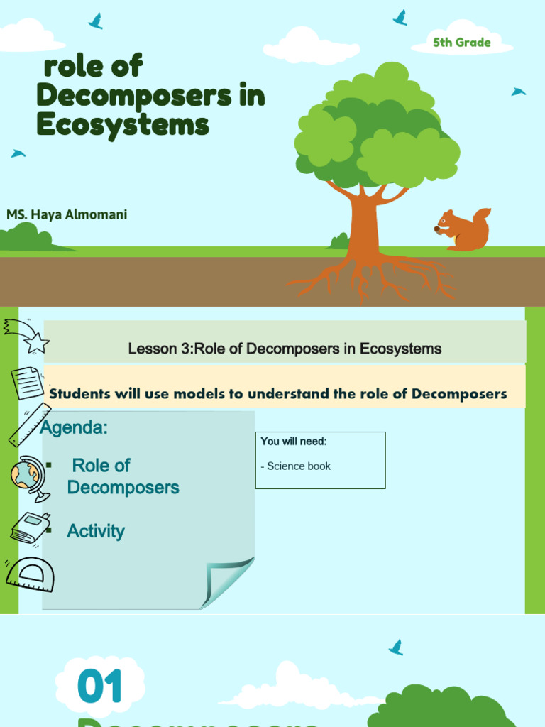 Role of Decomposers in Ecosystems | PDF