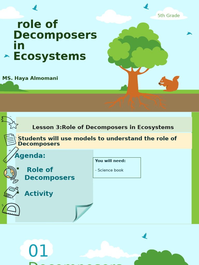 Role of Decomposers | PDF