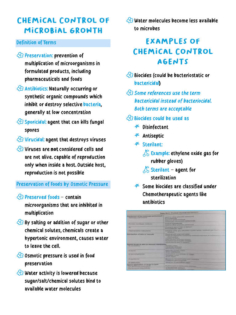 Unreadable Document Content | PDF