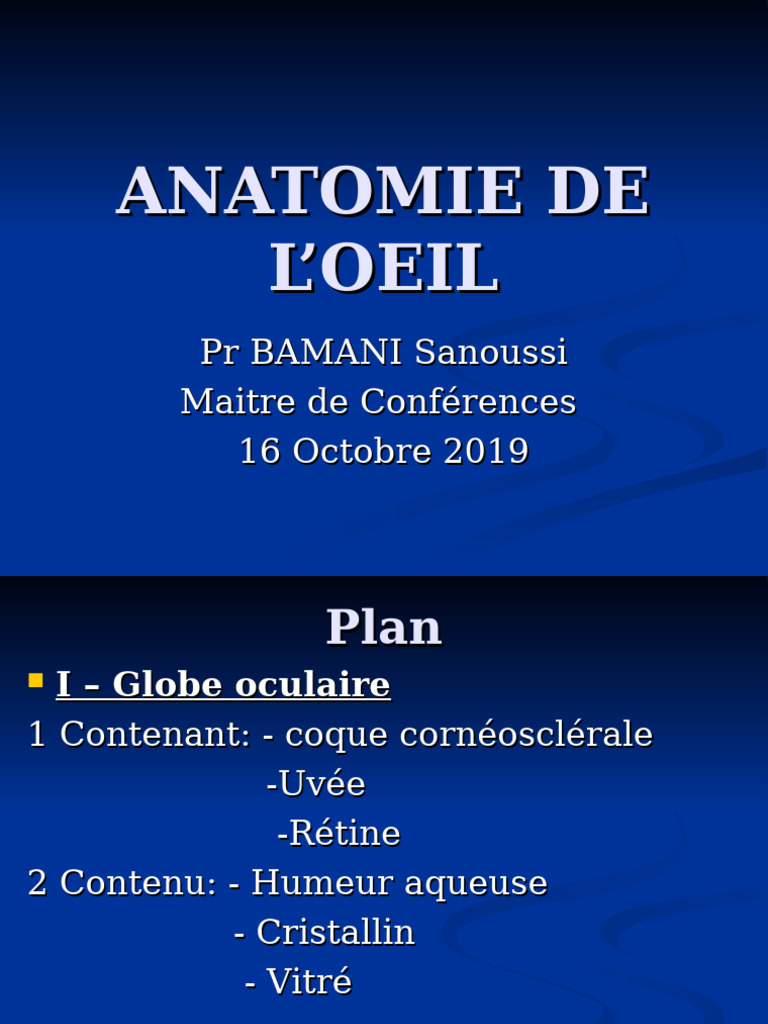 Anatomie de l'Œil : Structure et Fonction | PDF | Cornée | Rétine