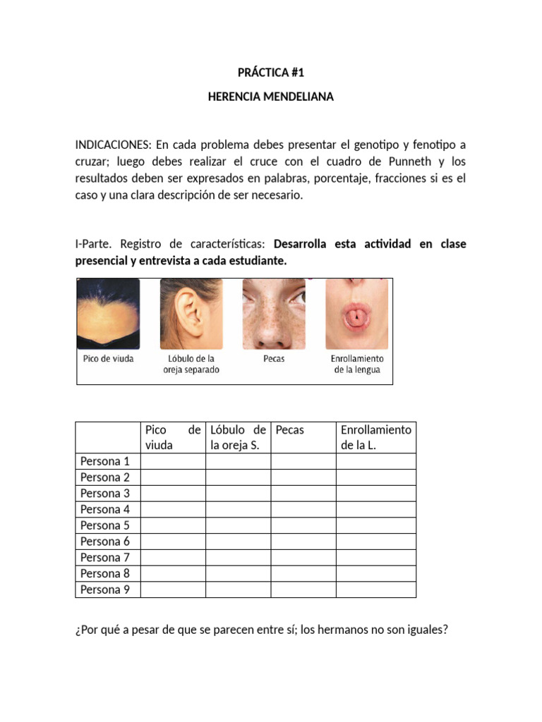 José Beitia - PRÁCTICA DE HERENCIA MENDELIANA #1 | PDF