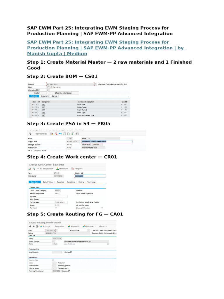 SAP EWM Staging for Production | PDF | Computing