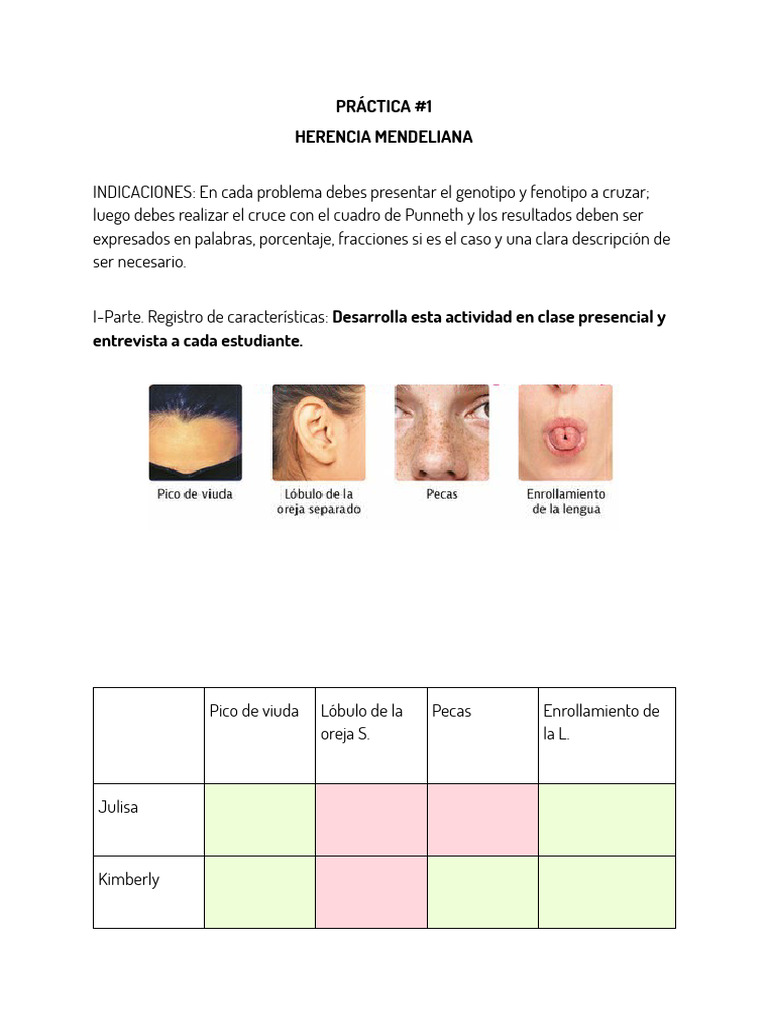 Herencia Mendeliana: Ejercicios y Análisis | PDF | Dominancia (Genética ...