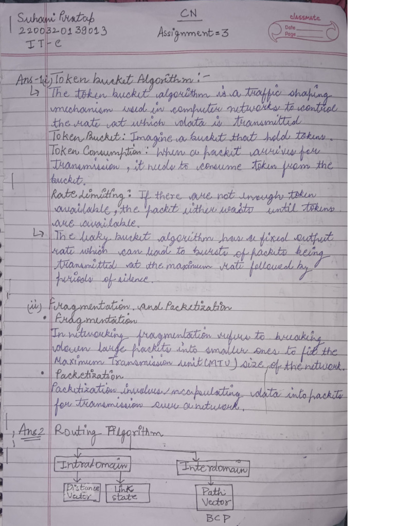 CN Assignment 3 | PDF