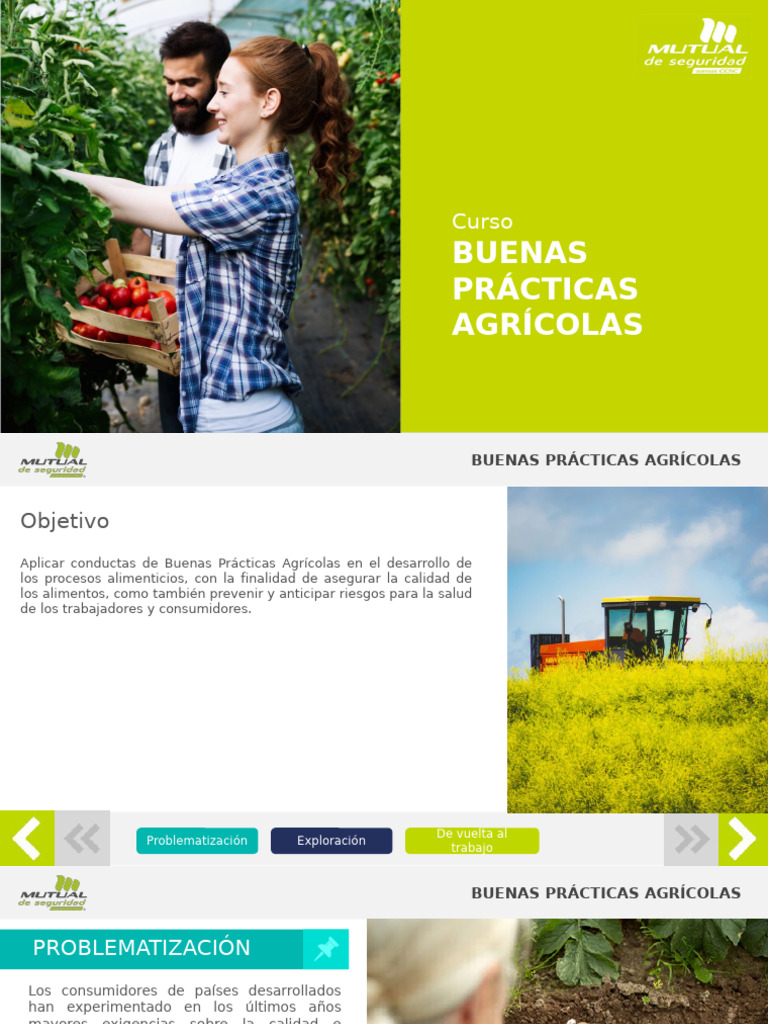 Buenas Practicas Agricolas | PDF | Alimentos | Agricultura