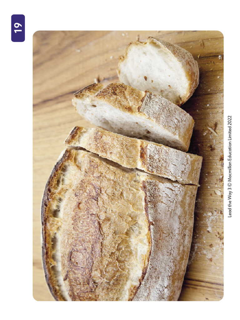 LTW3_Flashcards_U2 (3) | PDF