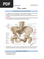 Pelve e Períneo | PDF | Pélvis | Anatomia