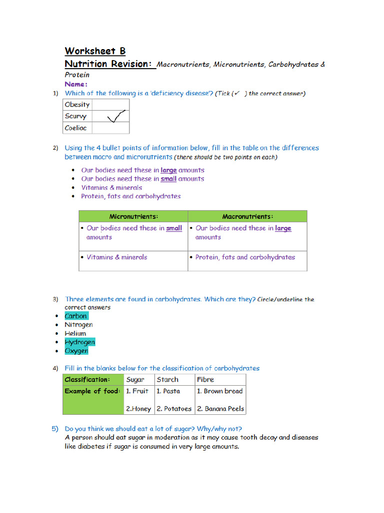 Macronutrients Worksheet 1 | PDF