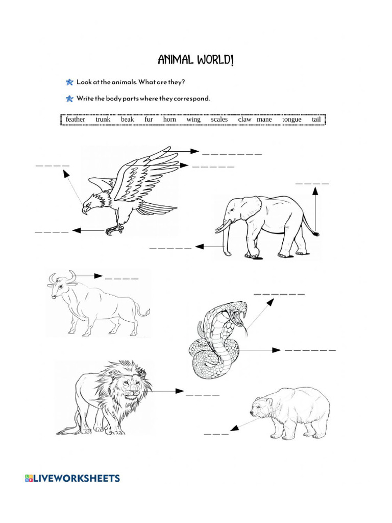 Animal Word! Body Parts | PDF