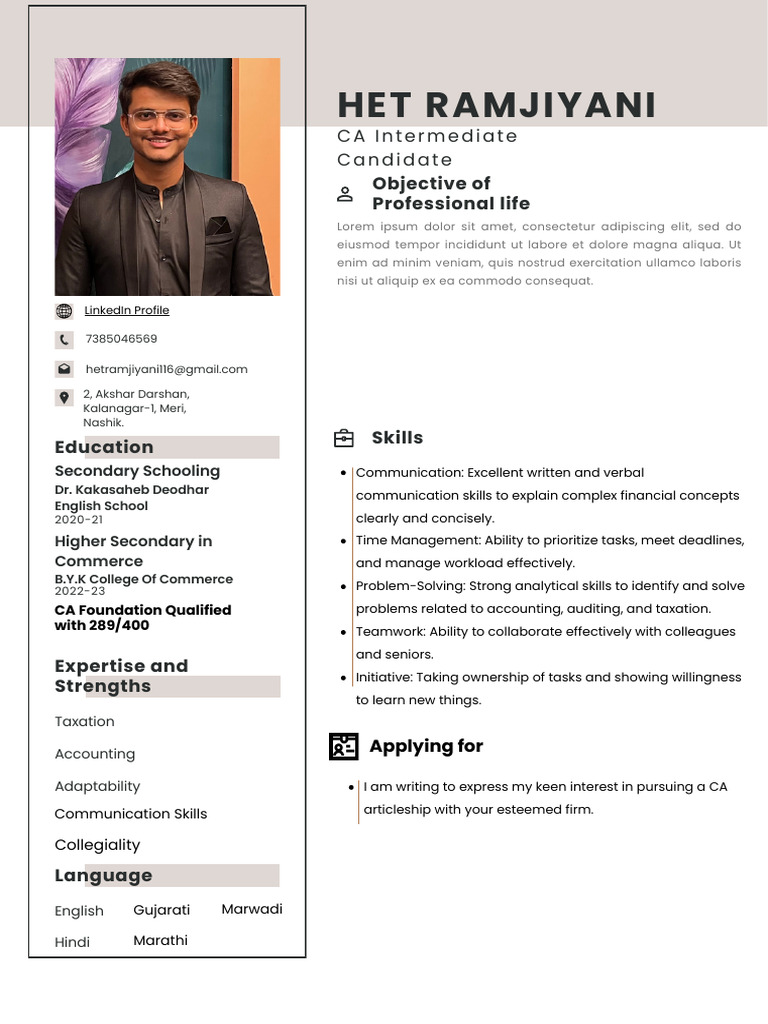 Simple Professional CV Resume | PDF