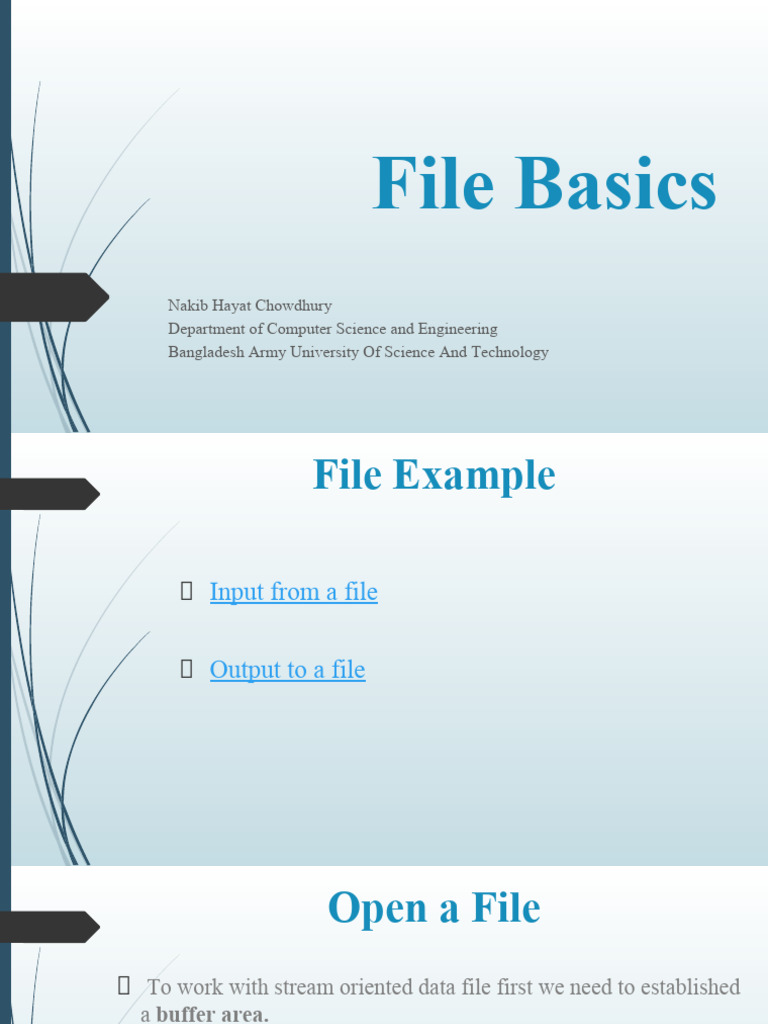 File Basics | PDF