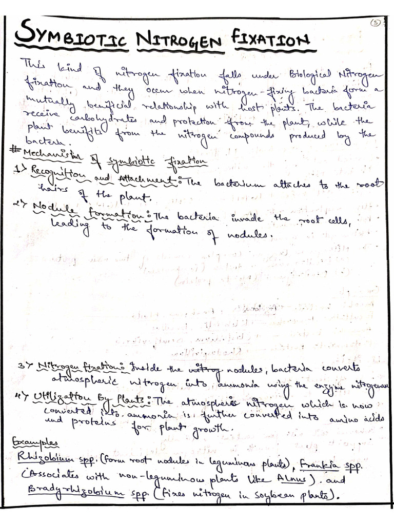 Symbiotic Nitrogen Fixation | PDF