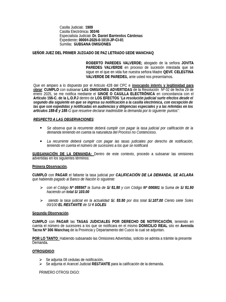 Jovita Subsana Omision 001 | PDF | Separación de poderes | Judicaturas