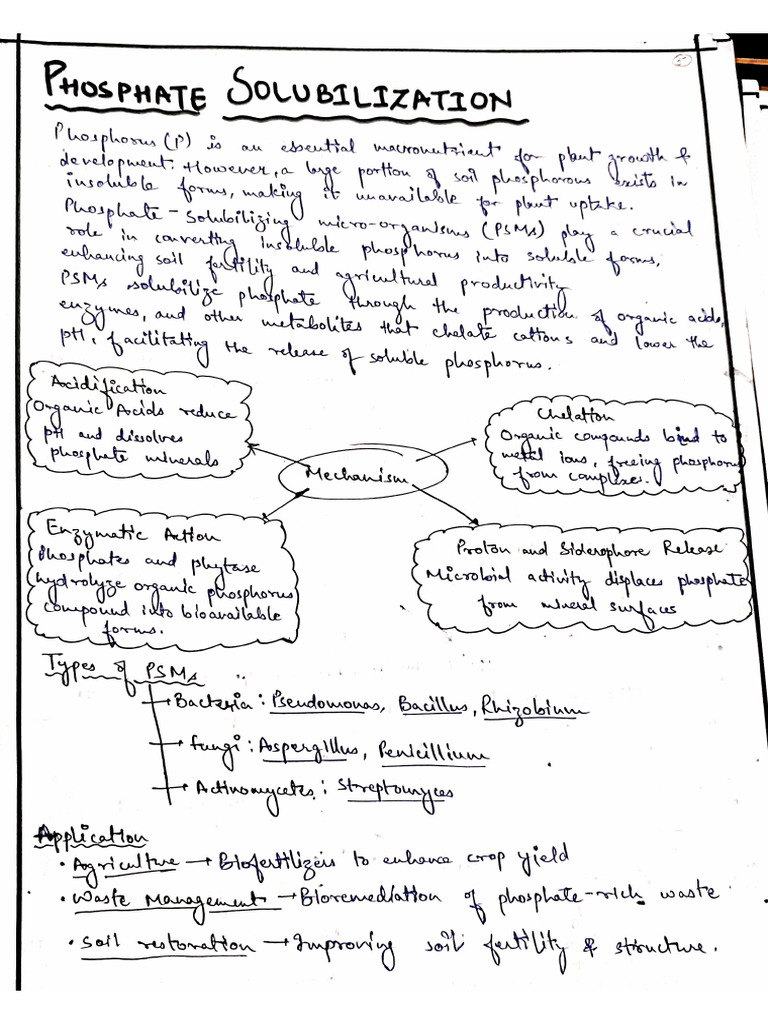 Phosphate Solubilization | PDF