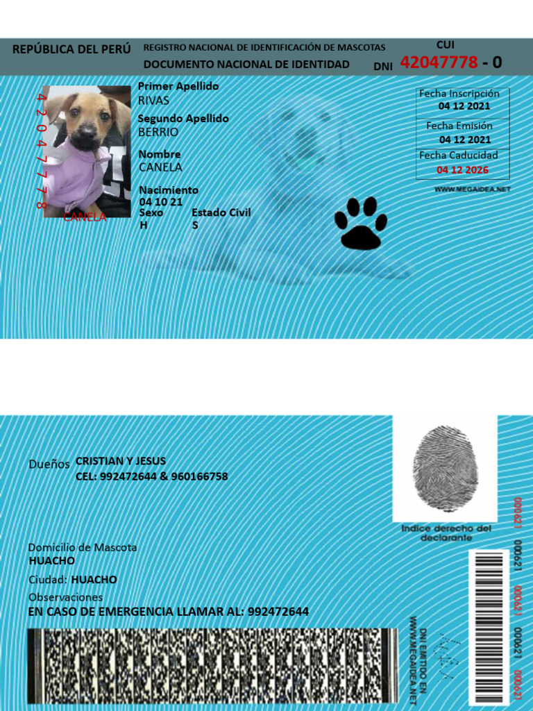 Dni Perro Dog | PDF