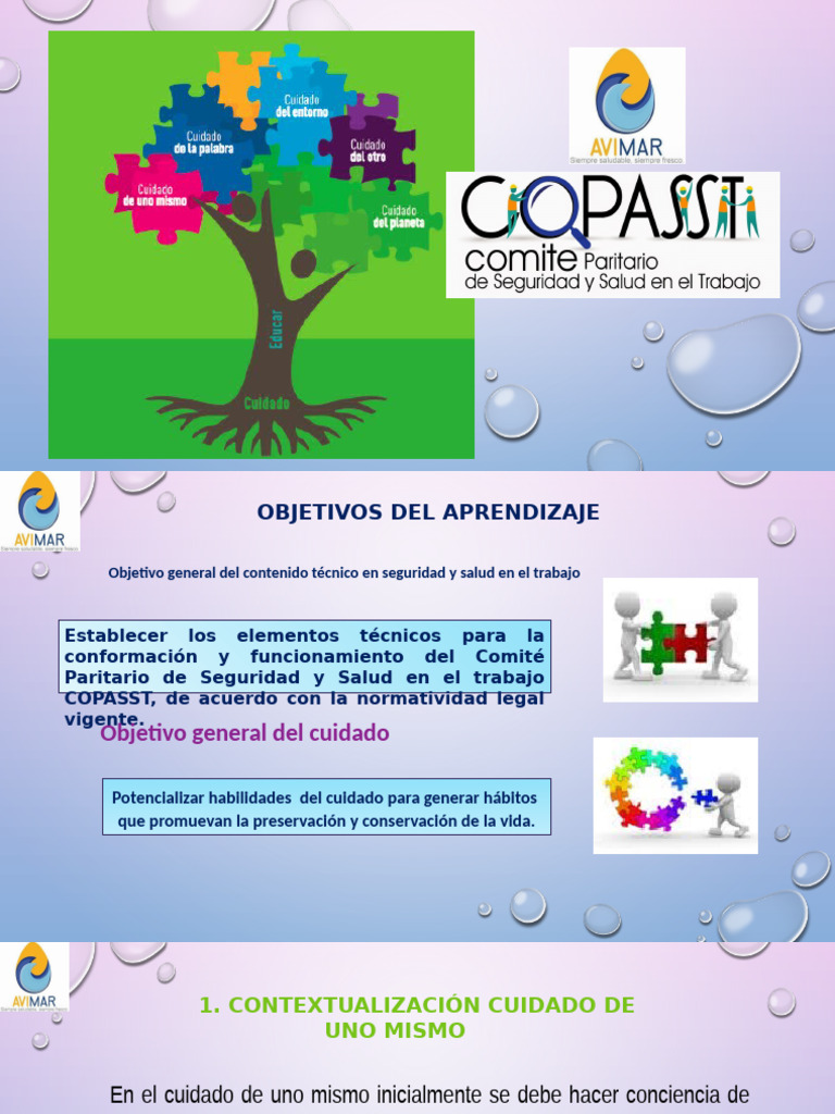 Conformación del COPASST en Colombia | PDF | Seguridad y salud ...