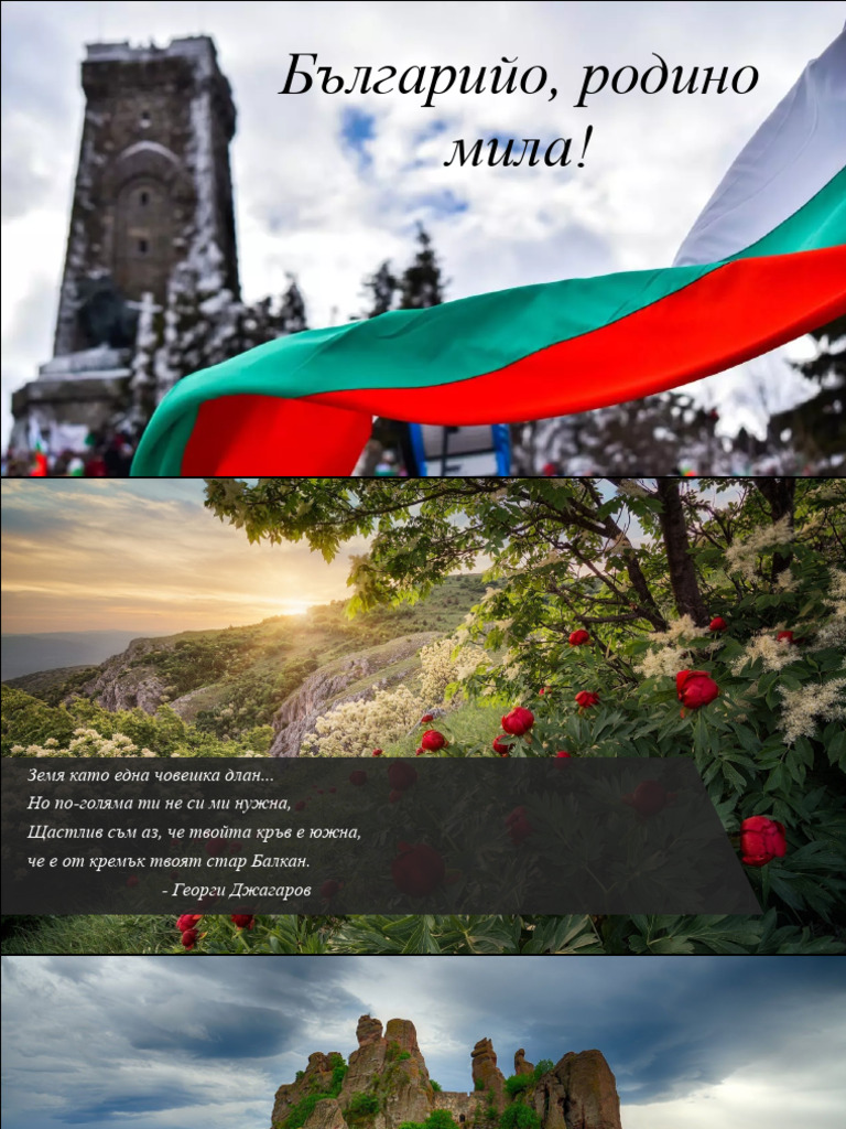 Presentation (222 | PDF