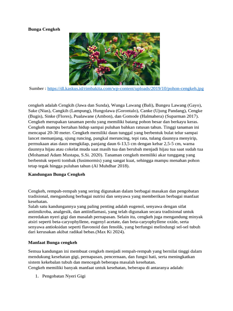 Bunga Cengkeh | PDF