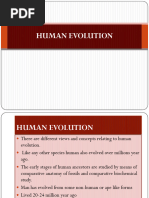 Human Evolution Chart | PDF | Homo | Human Evolution